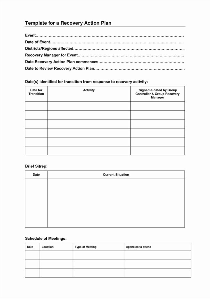 10 Wellness Recovery Action Plan Pdf Word Db Excel - Printable Worksheets