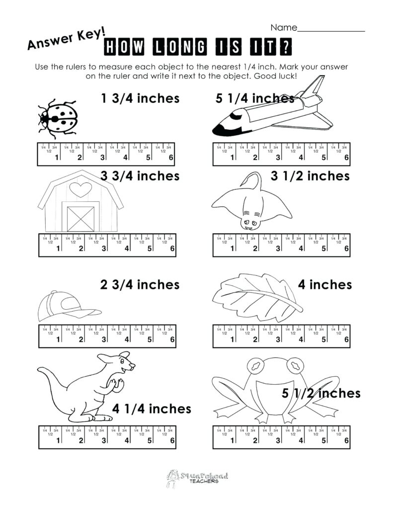 1St Grade Measurement Worksheets Math Worksheet For Kids - Printable ...